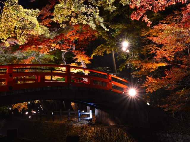 コミュニティ「雅 MIYABI」 | evawat